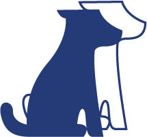 Home - Pet Care Network | Destination Pet