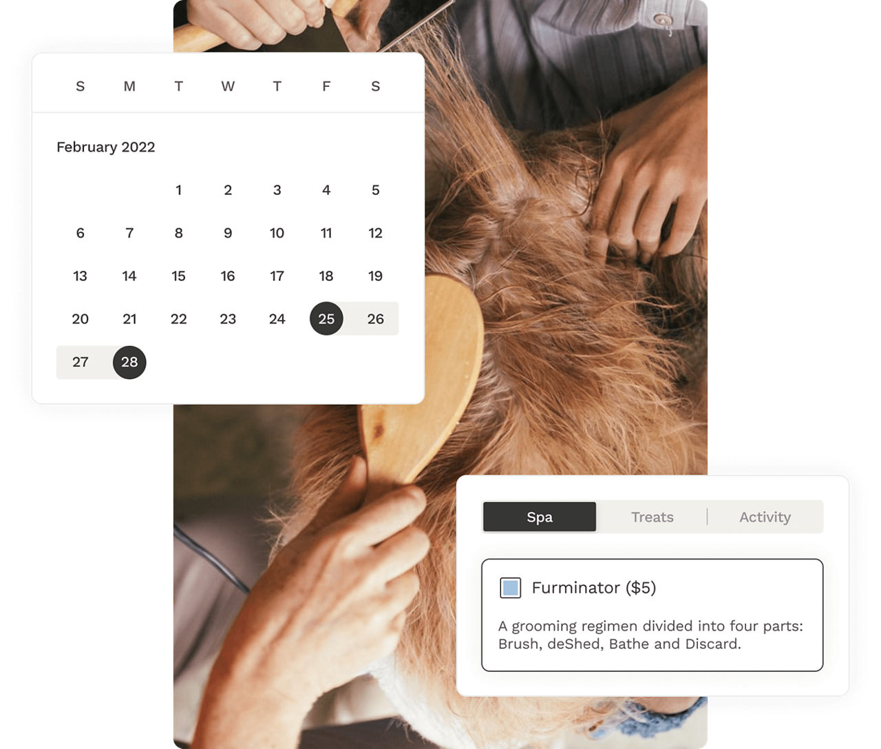 Yourgi - Your Guide to Your Pet's Best Life