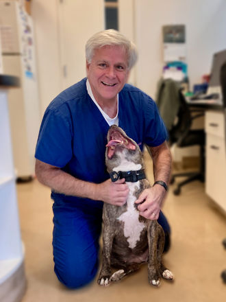 About Us - Nebel St. Animal Hospital