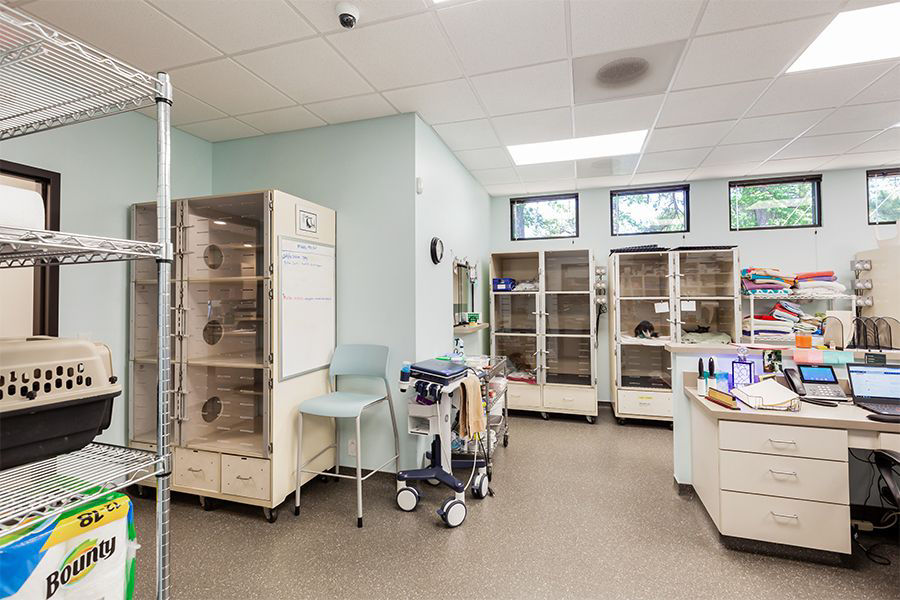 About Us | About The Cat Clinic