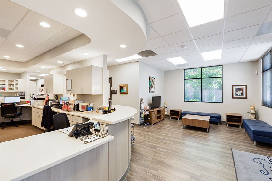 About Us | About The Cat Clinic